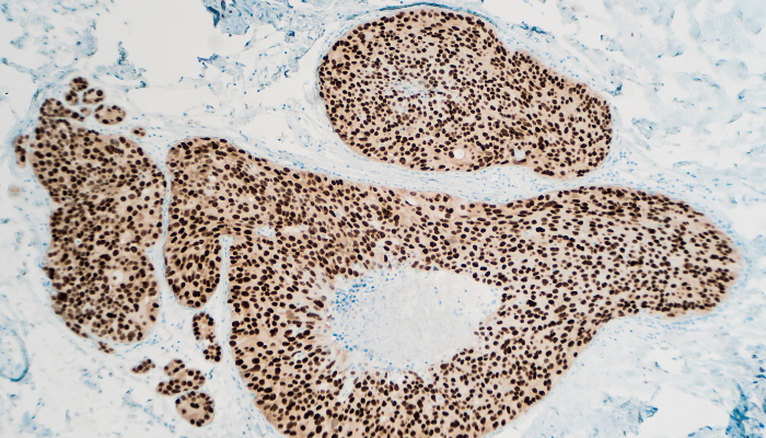 Health Monitoring | Histology & Pathology